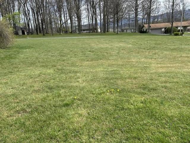 Kimberly Ln, Kingwood, WV 26537