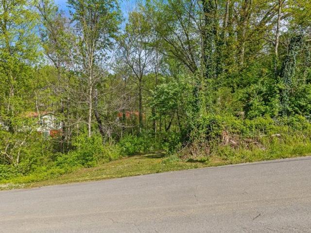 Kinzalow Dr, Sweetwater, TN 37874