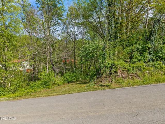 Kinzalow Dr, Sweetwater, TN 37874