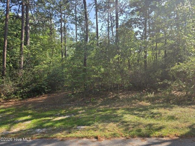 King Ct, Pinehurst, NC 28374