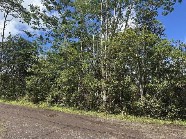 King Kamehameha Blvd, Keaau, HI 96749