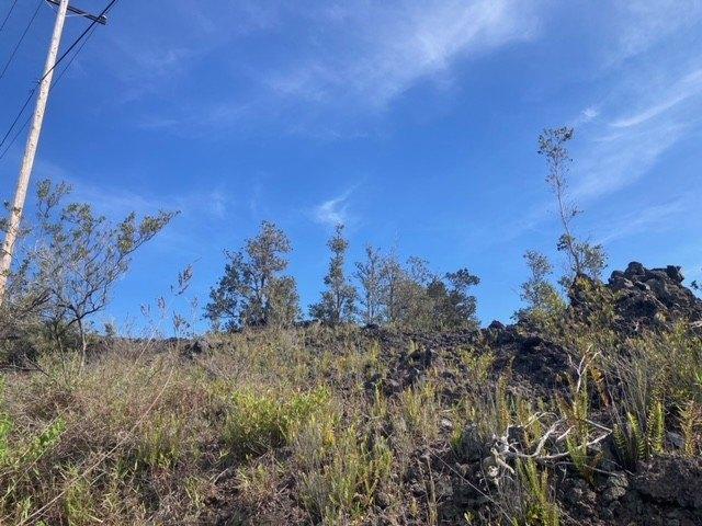 King Kamehameha Blvd, Ocean View, HI 96737