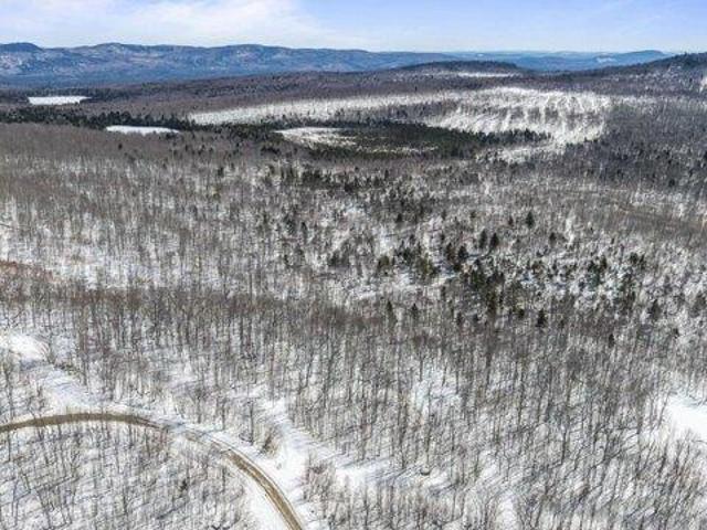 Kingfield ME 04947 LS101897322