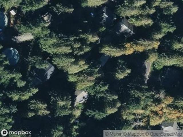 Kinglet Ct