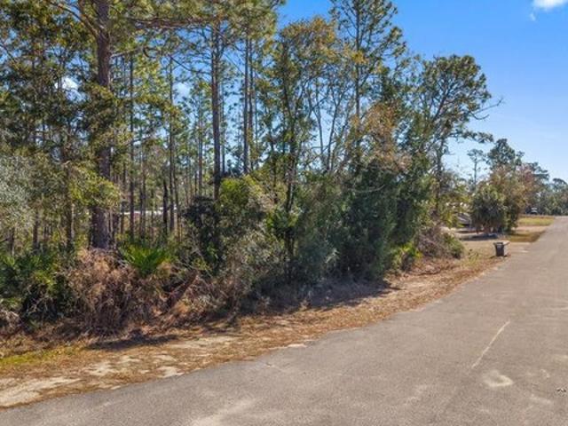 Kings Creek Ct, Steinhatchee, FL 32359