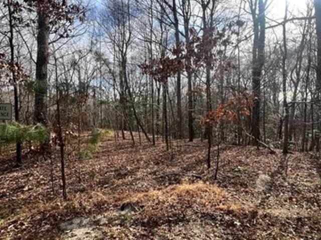 Kings Ct, Montross, VA 22520
