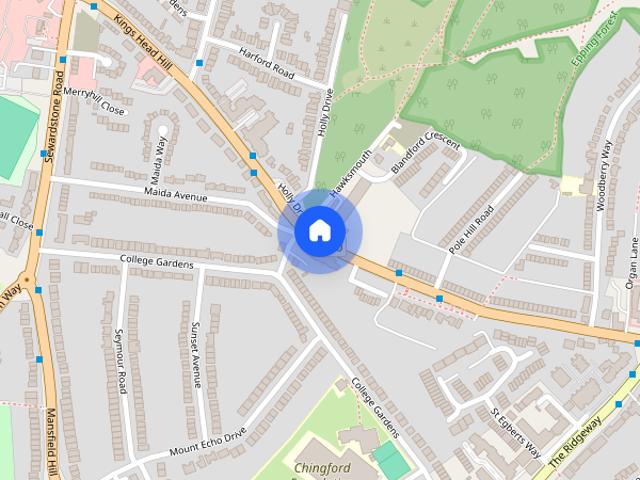 Kings Head Hill, Chingford