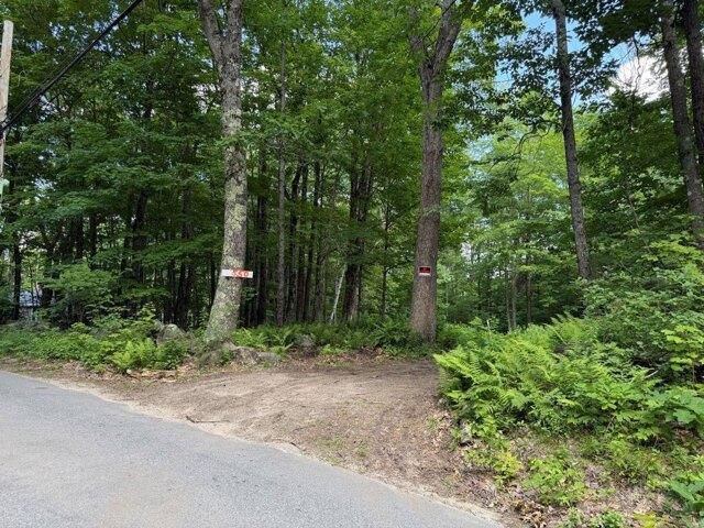 Kings Hwy, Stoddard, Plot For Sale