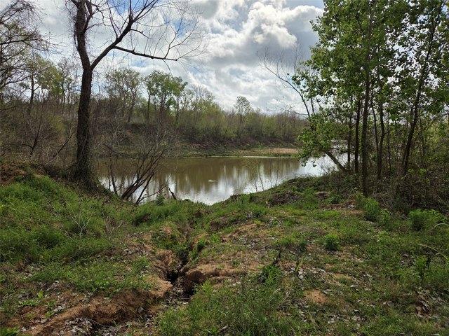 Kings Oak Dr, Damon, TX 77430