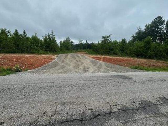 Kings Rd Lot B4, Green Bay, VA 23942