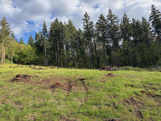 Kings Ridge Rd Unit 580533, Dallas, OR 97338