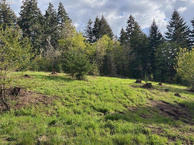 Kings Ridge Rd Unit 580533, Dallas, OR 97338