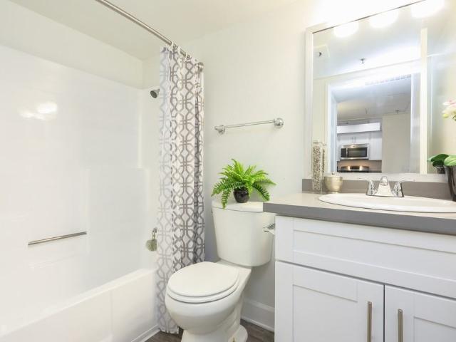 Kingsley Drive 2 Bedroom Apartment for Rent at 737 S Kingsley Dr, Los Angeles, CA 90005 Wilshire Center Koreatown