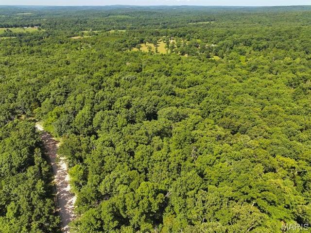 Kingston Rd, Potosi, MO 63664