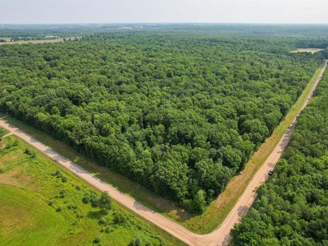 Kington Rd, Greenwood, WI 54437