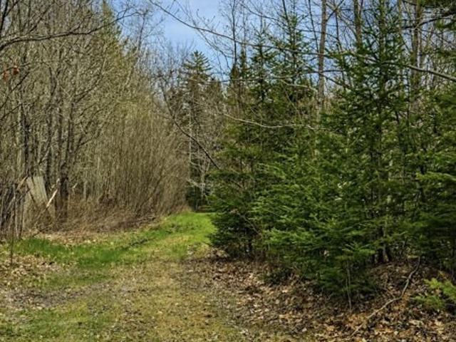 Kinstone Ln, Trenton, Plot For Sale