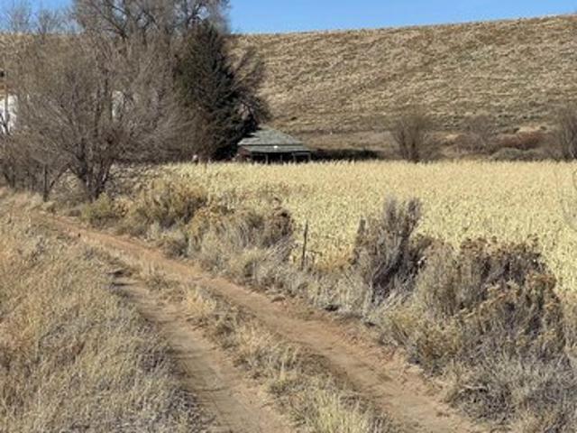 Kiowa Rd, Montrose, CO 81403