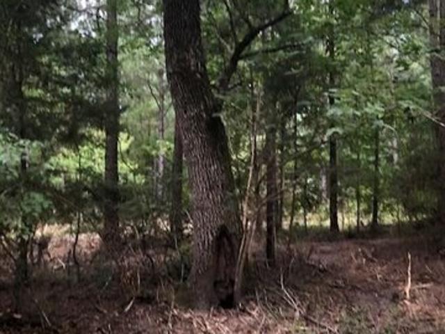 Kickapoo Tract 33 Colt Ii Rd, Groveton, TX 75845