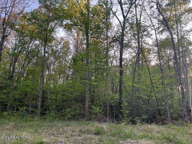 Kiddie Cir Unit 0, Crossville, TN 38572