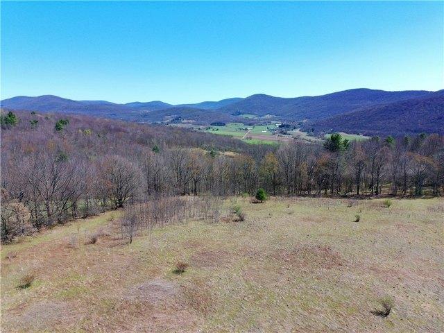 Kiff Brook Rd Lot 12, Kortright, NY 13739
