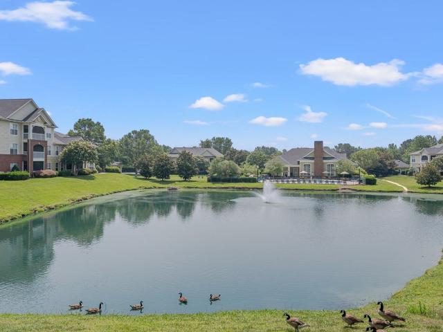 Kildaire Reserve Apartments 1 Bedroom Apartment for Rent at 2600 Harvest Creek Pl, Cary, NC 27518