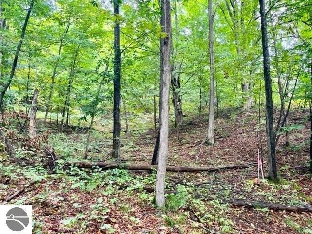 Killdale Ave, Benzonia, MI 49616