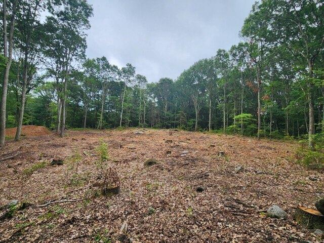 Killingworth CT 06419 104653309