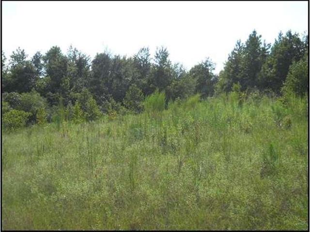 Kilmichael, MS Montgomery Country Land 271 acre for sale in Hendrix, Mississippi