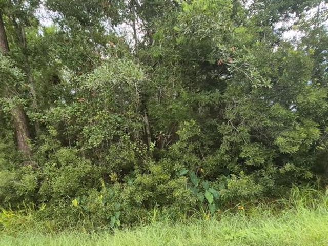 Kiln Waveland Cutoff Rd Lot 11, Bay Saint Louis, MS 39520