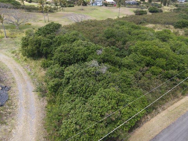 Kilo Moana Pl, Naalehu, HI 96772