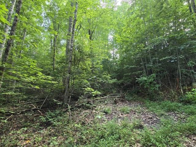 Kilpatrick Point Ter Lot 14, Hayesville, NC 28904