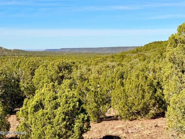Kirkwood Dr # 20ACRES, Concho, AZ 85924