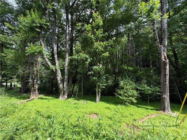 Kirkwood Heath Rd, Boone, NC 28607