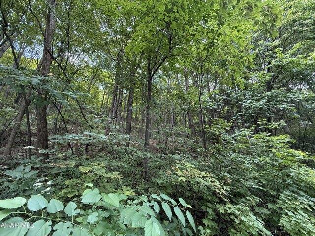 Kittanning Run Lot,claysburg, Plot For Sale