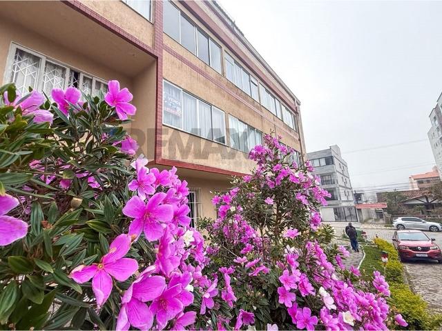 Kitnet em Taumaturgo, Teresópolis/RJ de 28m² 1 quartos à venda por R$ 196.900,00