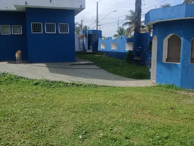Kitnet / Stúdio para Locação em Mongaguá/SP Vila Anhanguera 1 Quartos