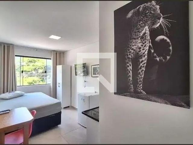 Kitnet / Stúdio para Locação em São Paulo/SP Lapa 1 Quartos