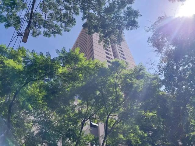 Kitnet / Stúdio para Locação em São Paulo/SP Perdizes 1 Quartos