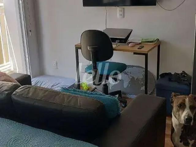 Kitnet / Stúdio para Locação em São Paulo/SP Pinheiros 1 Quartos