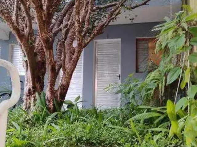 Kitnet / Stúdio para Locação em São Paulo/SP Vila Butantã