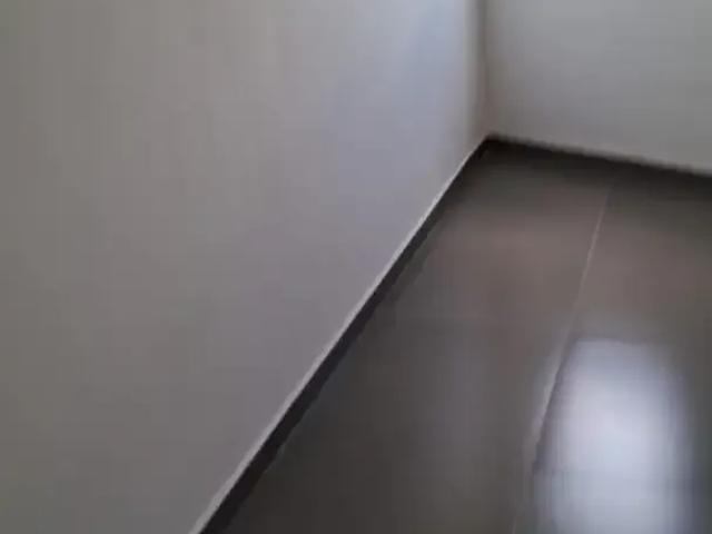 Kitnet / Stúdio para Locação em São Paulo/SP Vila Penteado 1 Quartos
