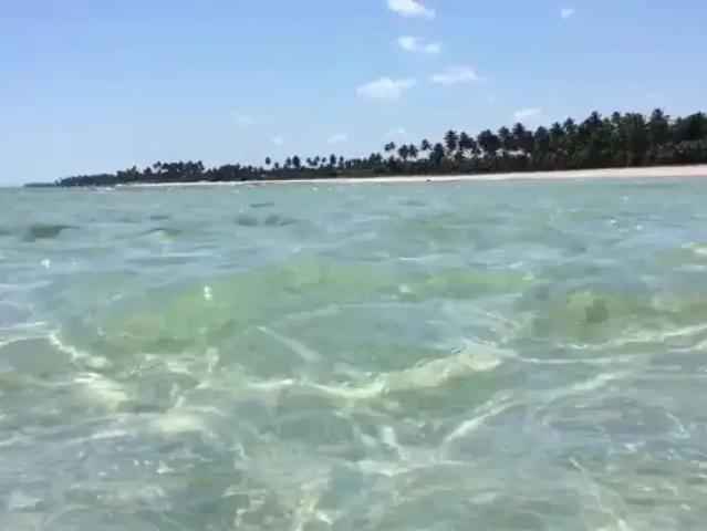 Kitnet / Stúdio para Venda em Barra de São Miguel/AL Centro 1 Quartos