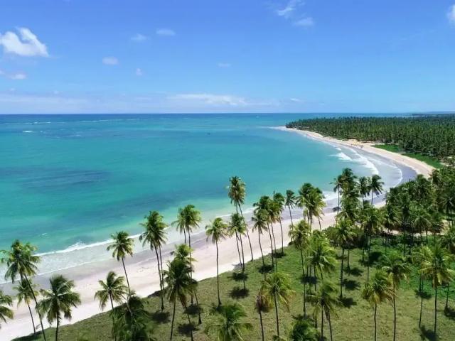 Kitnet / Stúdio para Venda em São Miguel dos Milagres/AL Praia do toque 1 Quartos