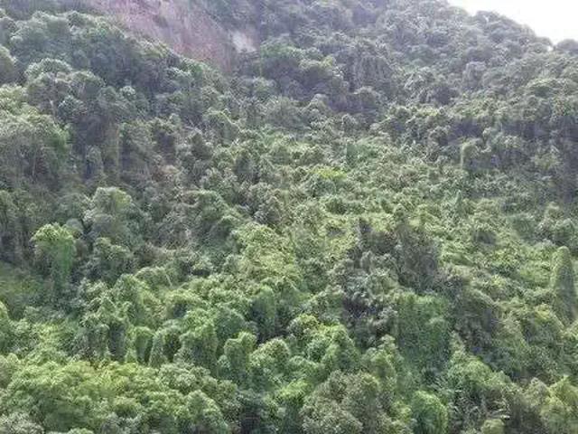 Kitnet / Stúdio para Venda em São Vicente/SP Itararé 1 Quartos