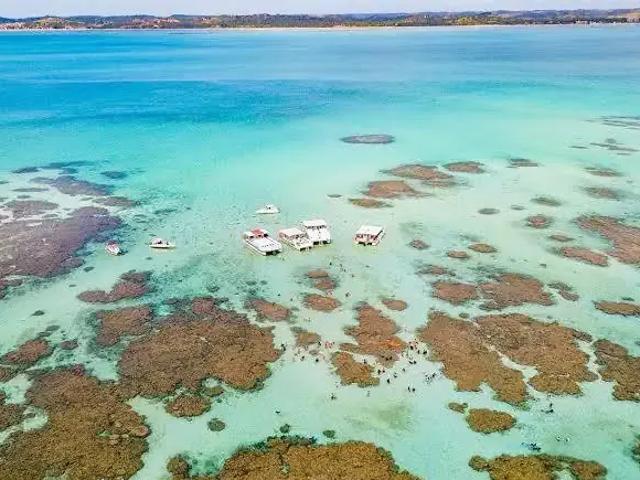 Kitnet / Stúdio para Venda em Tamandaré/PE Praia Dos Carneiros 1 Quartos
