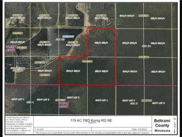 Konig Rd NE, Waskish, MN 56685