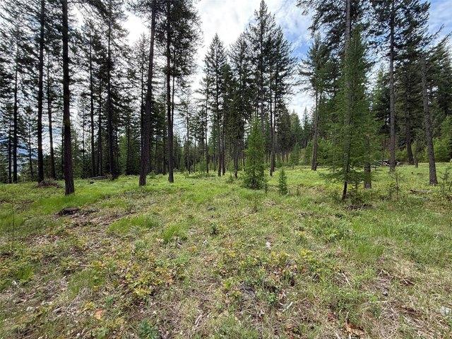 Kootenai Dr Parcel A, Troy, MT 59935