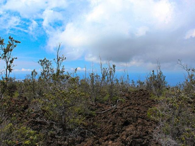 Koa Ln, Ocean View, HI 96737