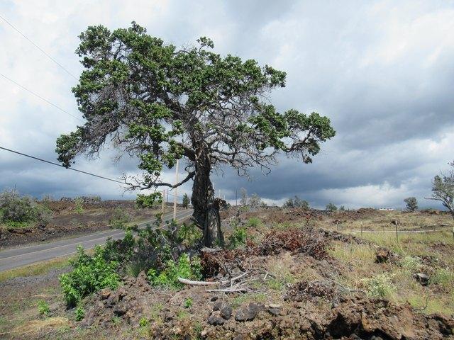 Kohala Blvd, Ocean View, HI 96737