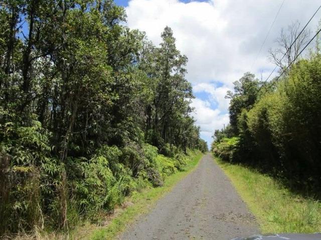 Kopaa St, Mountain View, HI 96771